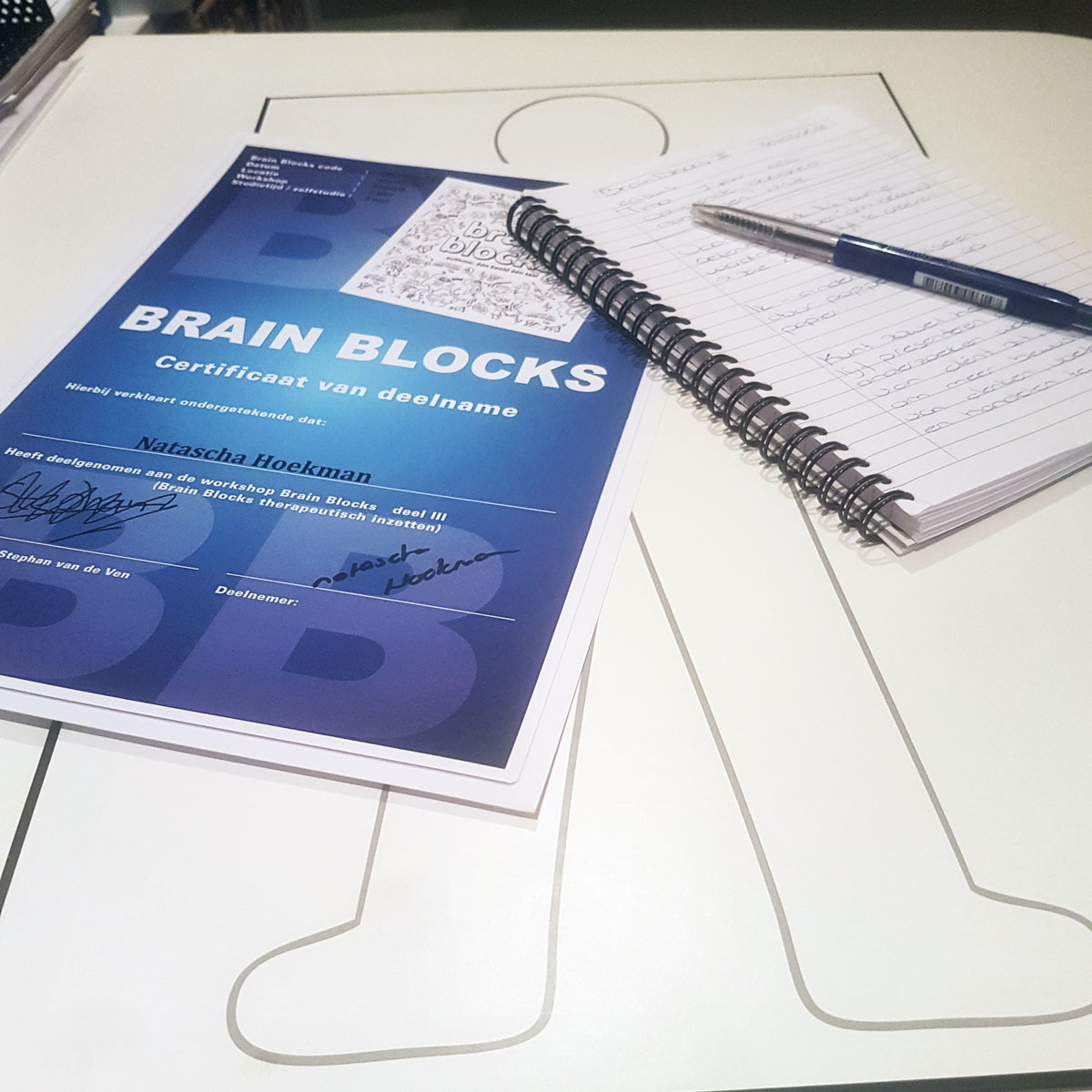 Brain Blocks deel III – Therapeutisch inzetten – PeeGeeBee Zorg ...